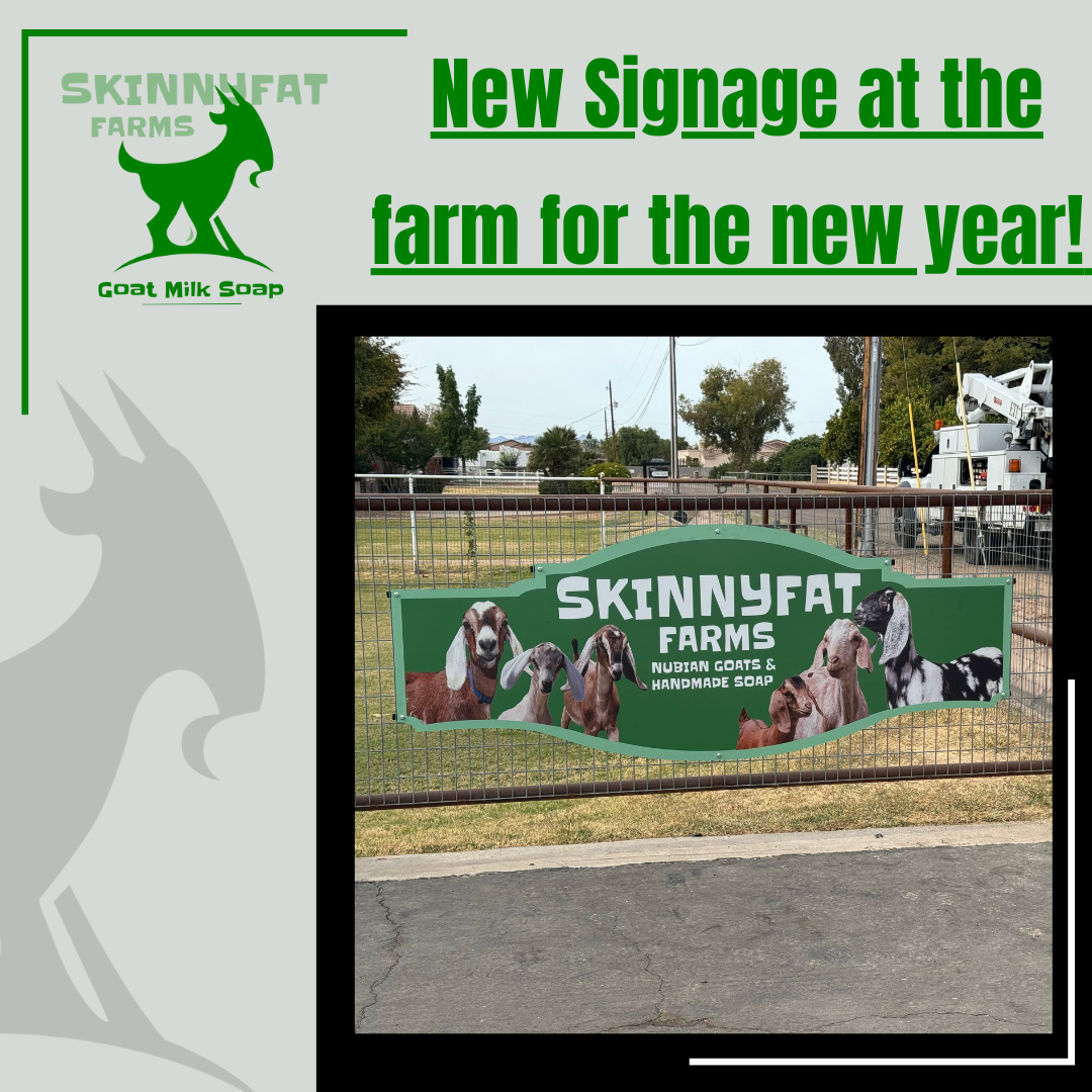 A New Look for the New Year! – SkinnyFat Farms